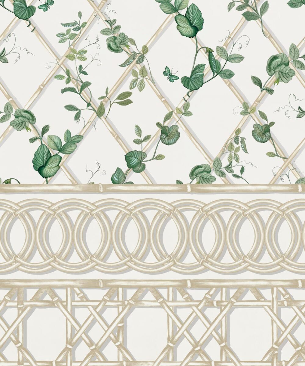 Ivy Frieze Mural • Vine Trellis Wallpaper • Milton & King UK